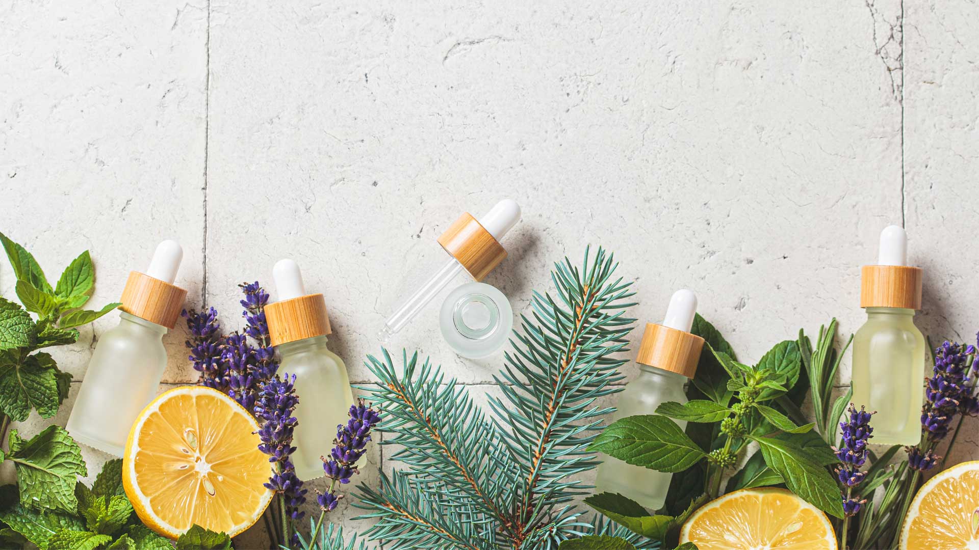 Части на растенията, които произвеждат етерично масло » Purus.bg