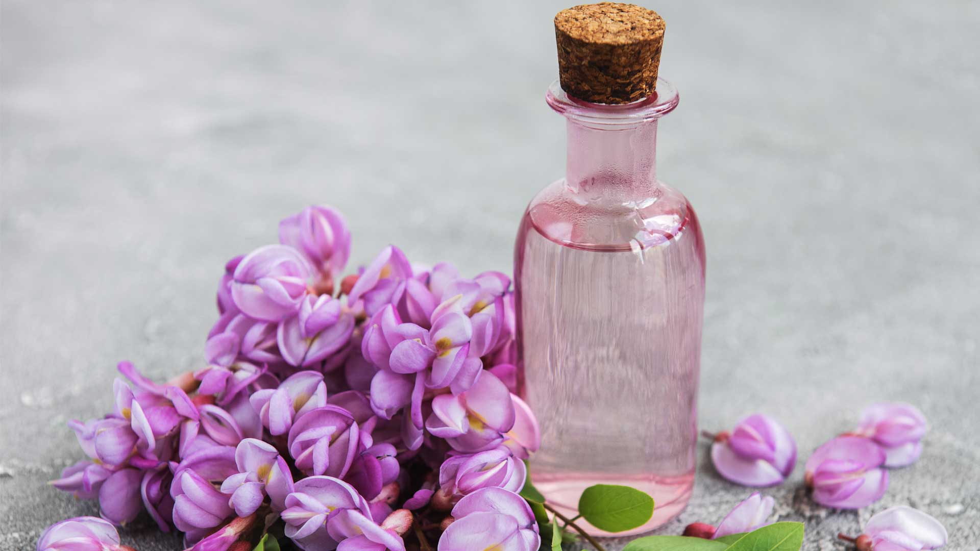 Purus.bg: Висококачествени Етерични Масла - 100% Чисти, Натурални