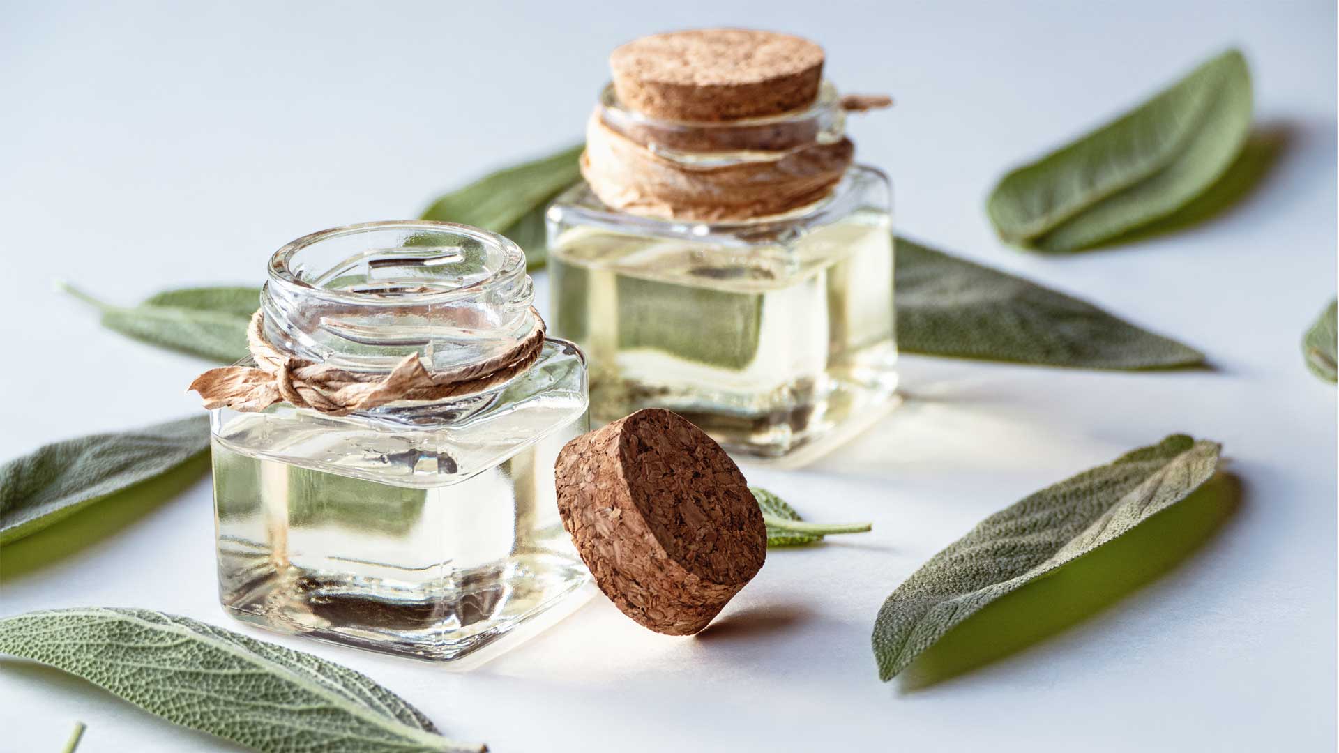 Purus.bg: Висококачествени Етерични Масла - 100% Чисти, Натурални